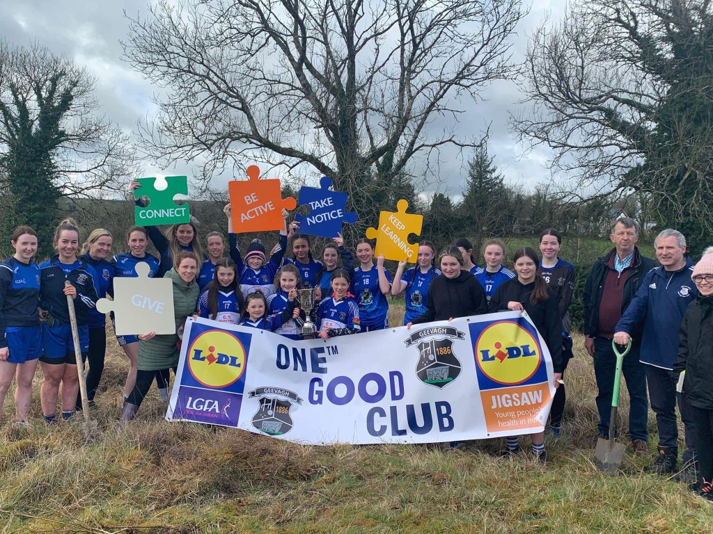 UCD-led BioBeo EU project promotes native tree planting with Geevagh ...